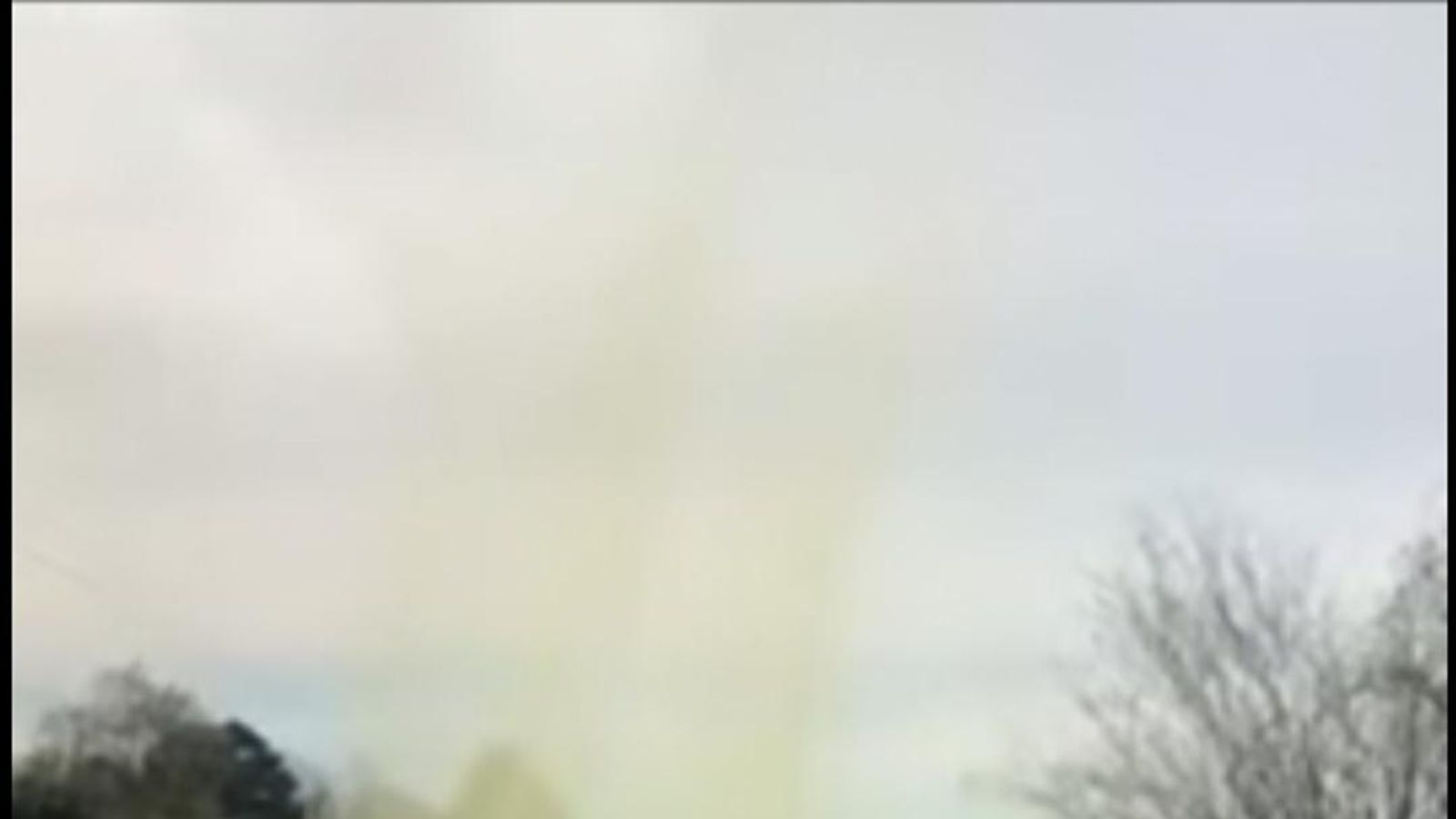 Pollen 'bomb' erupts from fallen tree in Tennessee | US News | Sky News