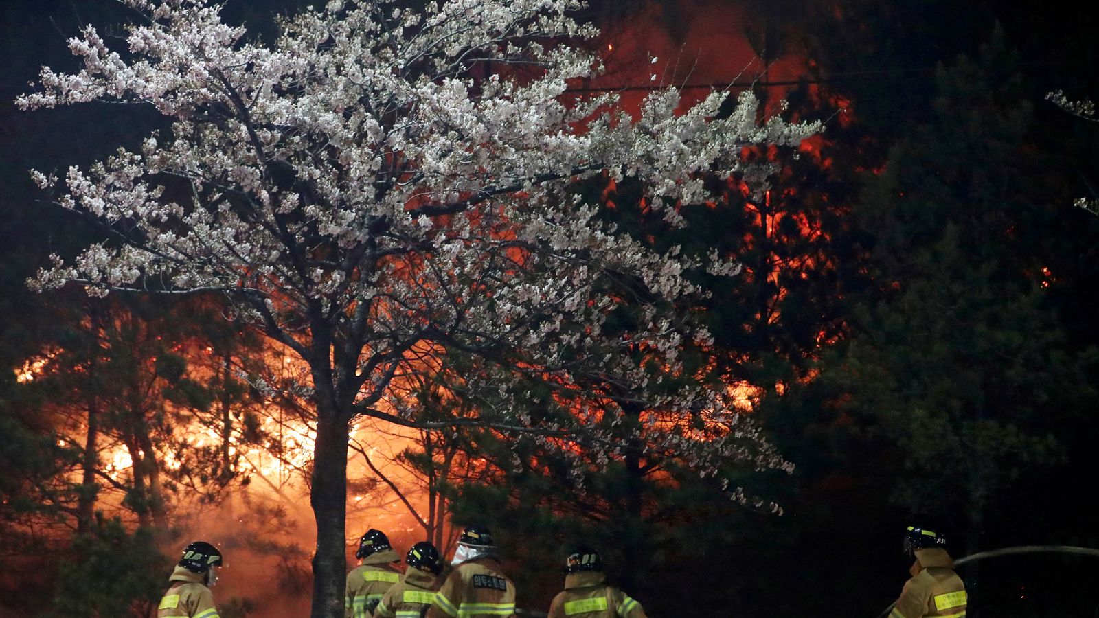 South Korea: Thousands flee wildfire in region of former Winter ...