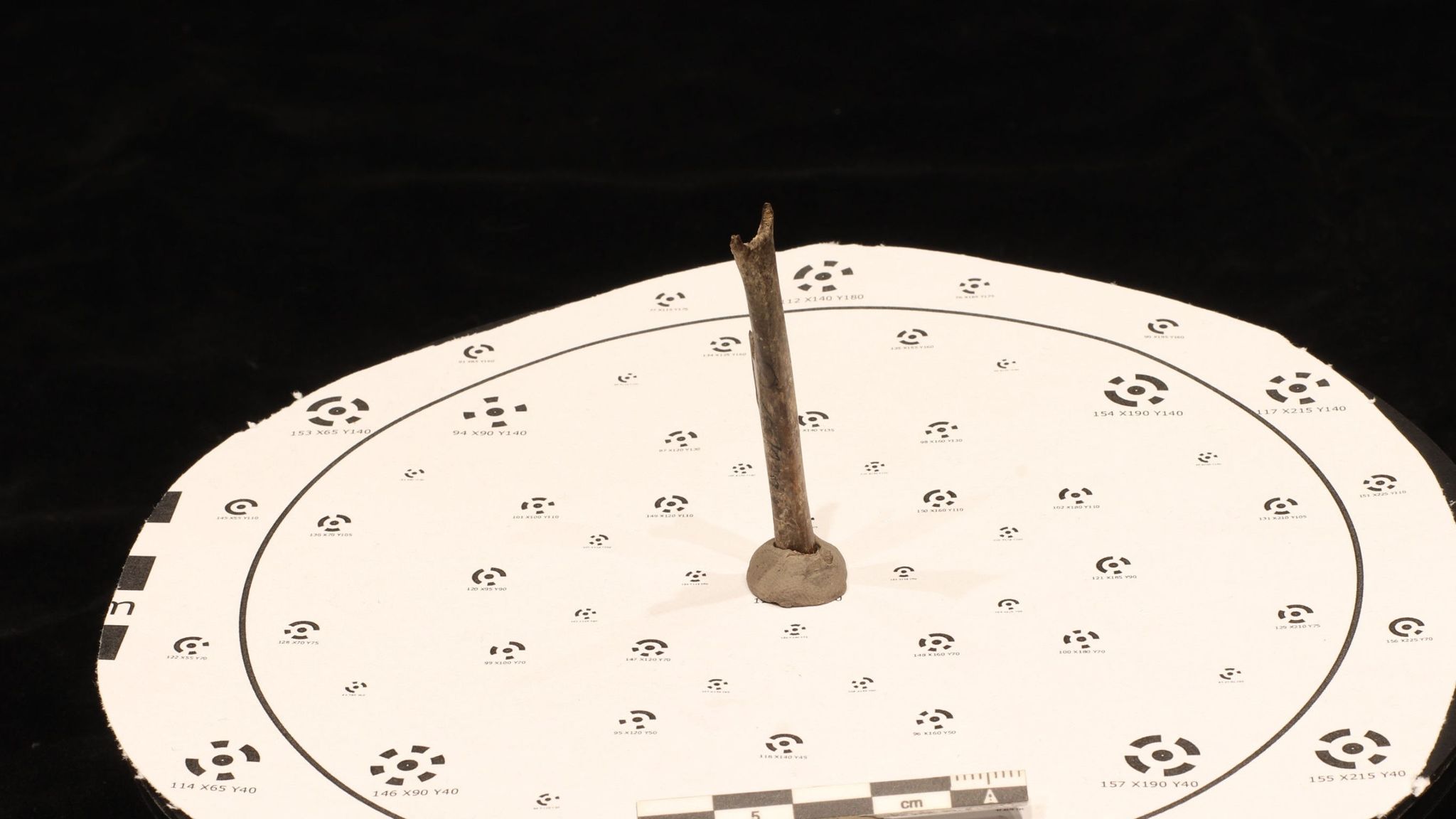 Rabbits arrived in Britain 1,000 years earlier than thought | UK News ...