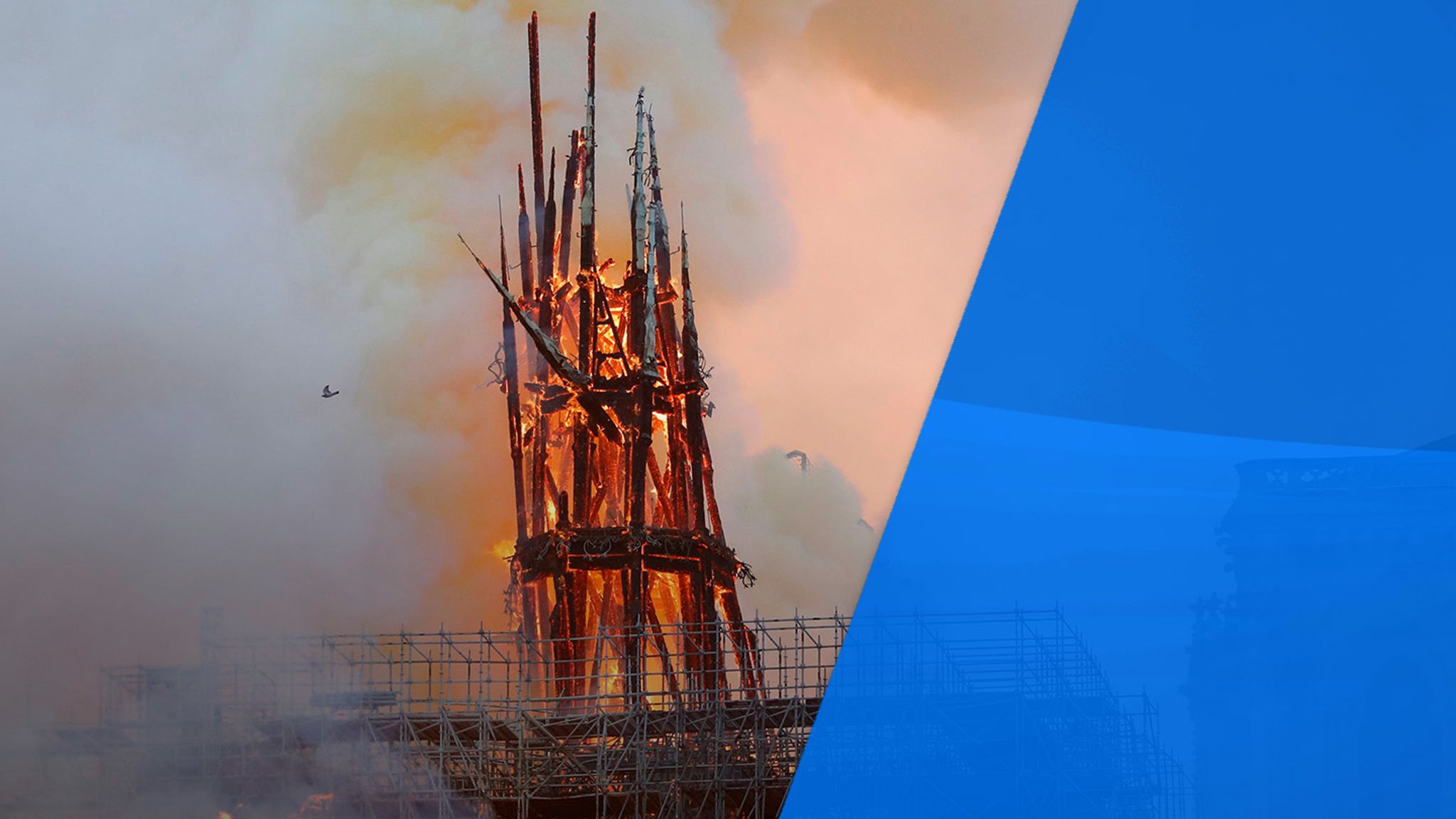 Sky Views: Vive la difference! But would the UK react differently to ...