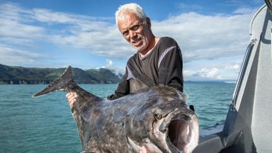 River Monsters to Dark Waters: How Jeremy Wade's extreme fishing got ...
