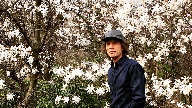 'A walk in the park': Mick Jagger pictured for first time since surgery ...