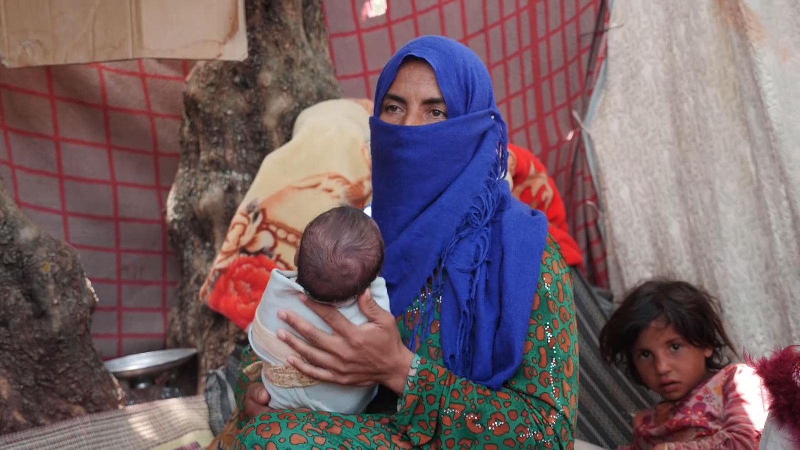 Pregnant mothers give birth in olive groves after fleeing Syria ...