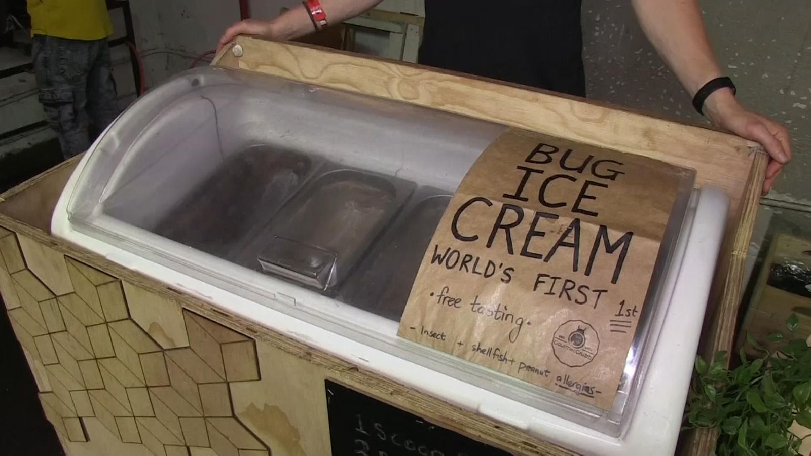 Maggot ice cream touted as eco-friendly alternative to traditional ...