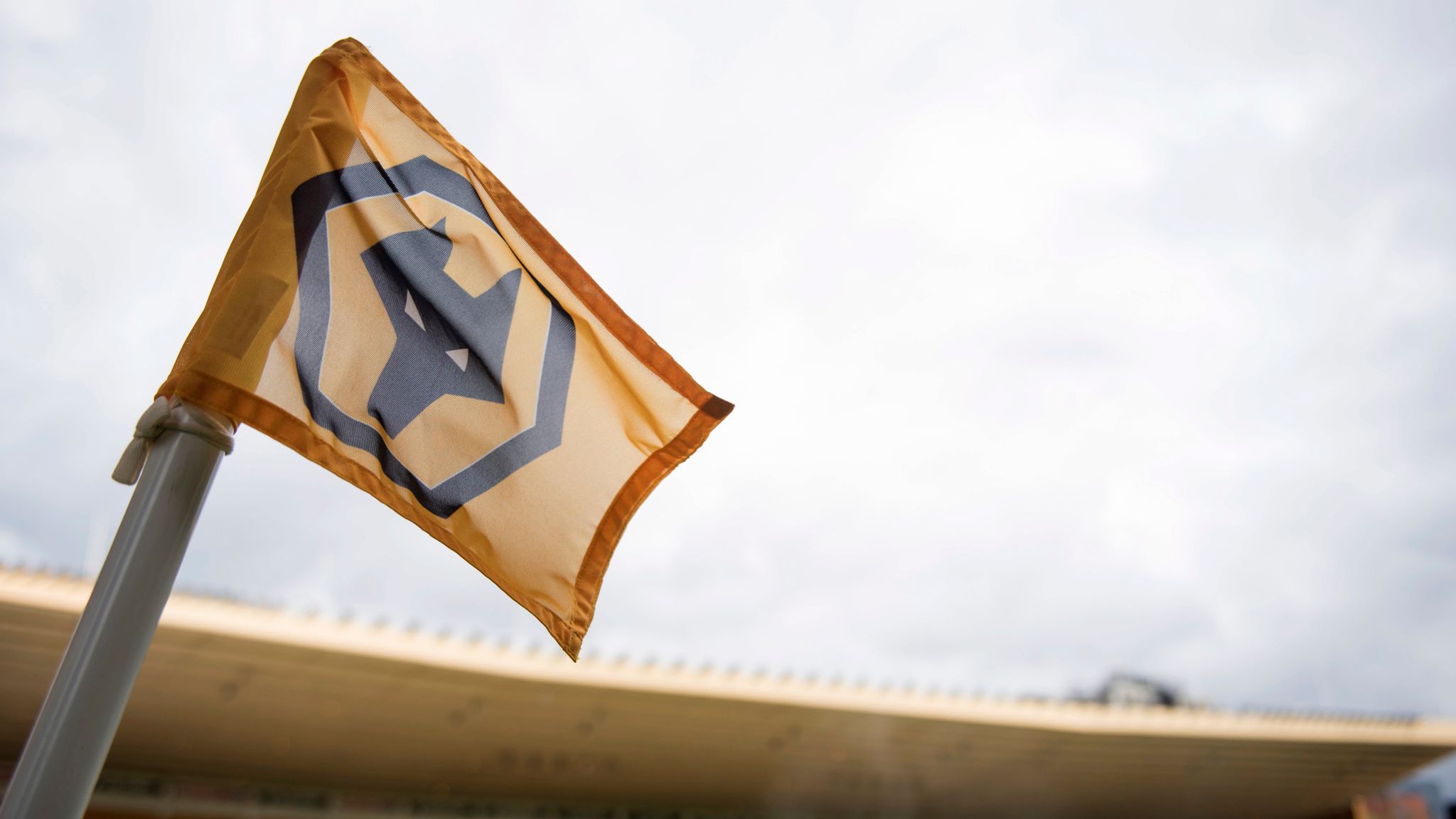 Premier League club Wolves sued by pensioner who claims he designed ...