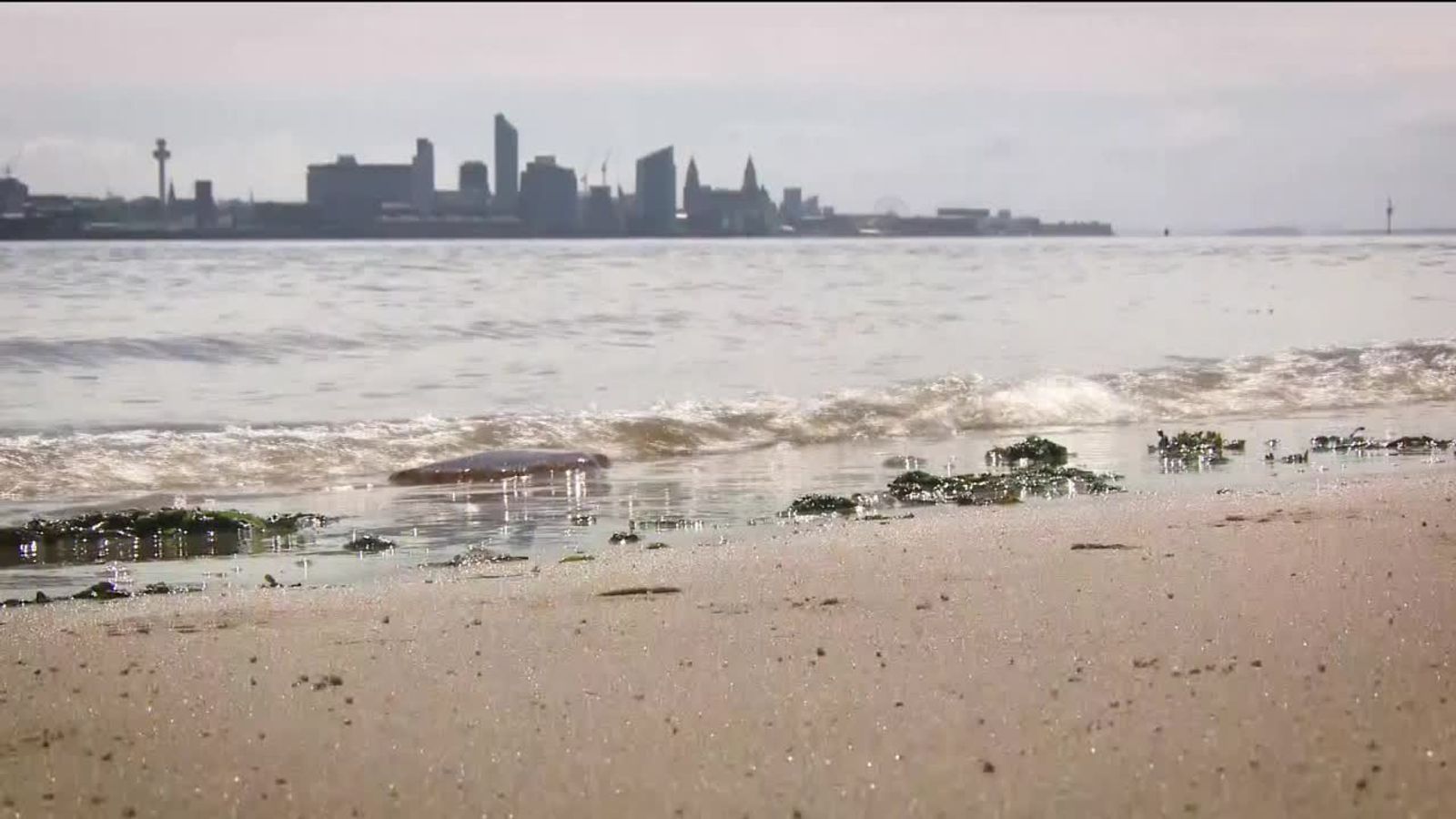 UK river is 'more polluted than Great Pacific Garbage Patch' | Sky News