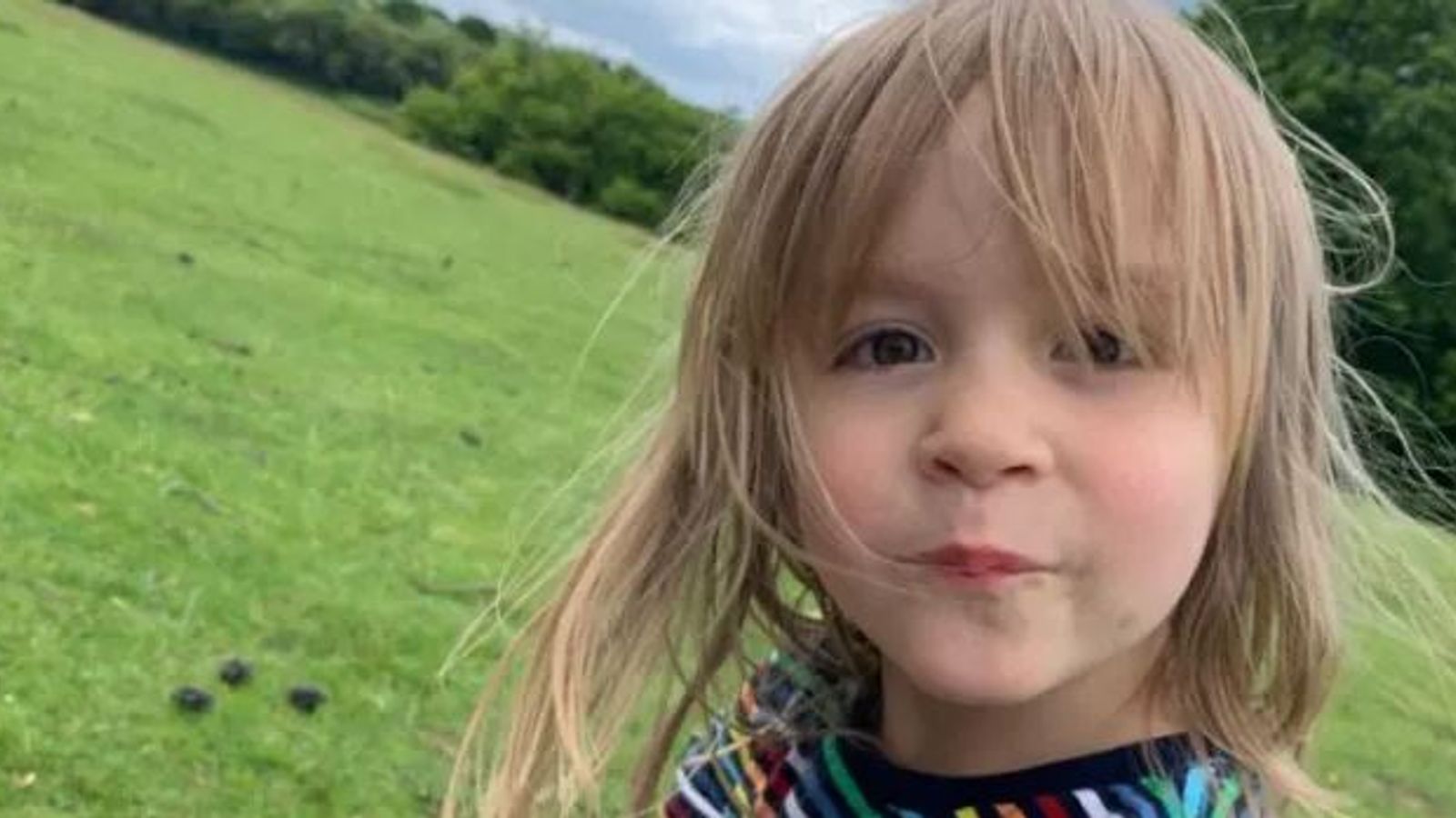 Callan Hornegold: Boy, 3, dies after being hit by Tesco delivery van ...