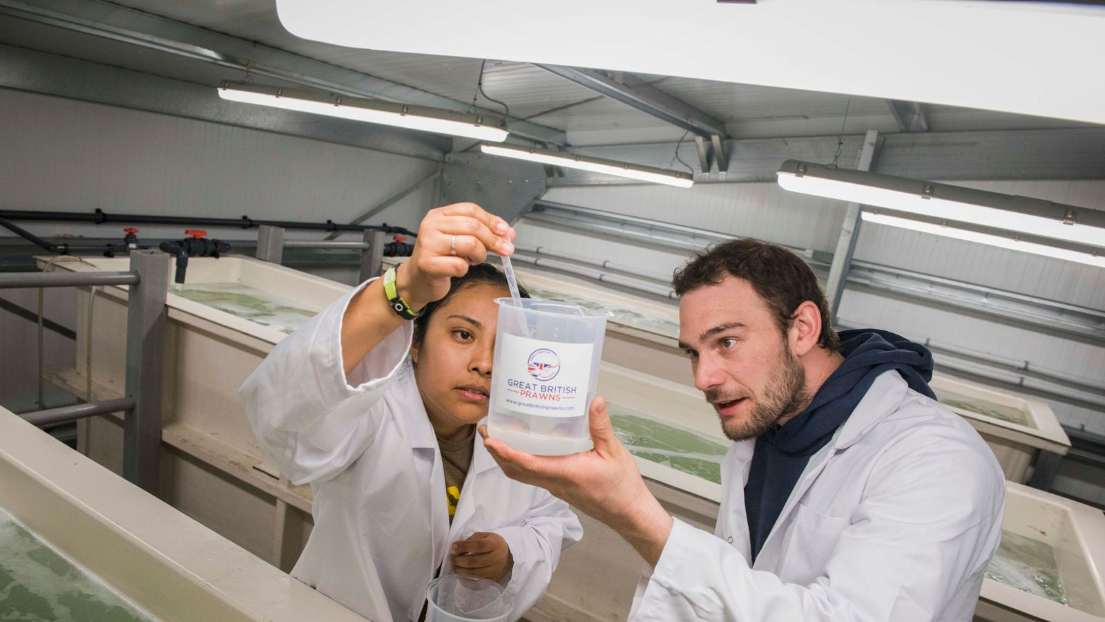 World's first sustainable land-based prawn farm launches in Scotland ...