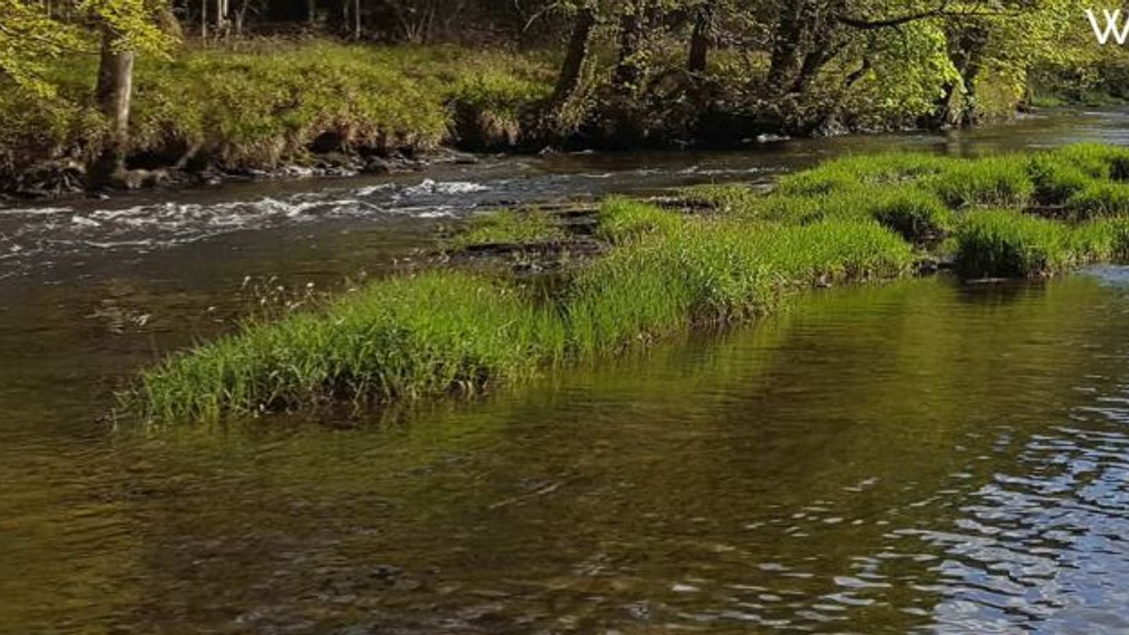 South East Rivers At Crisis Point After Dry Winter Environment