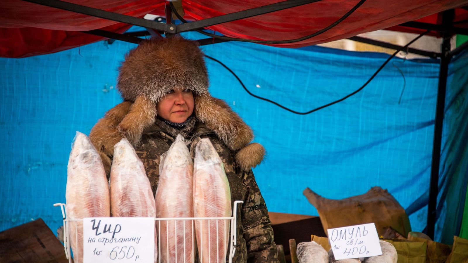 Siberia could become 'habitable' by 2080, study suggests | Science ...