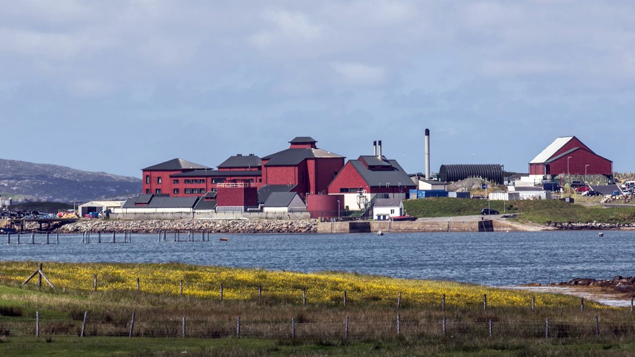 A warning for the world as BASF issues profit alert | Money News | Sky News