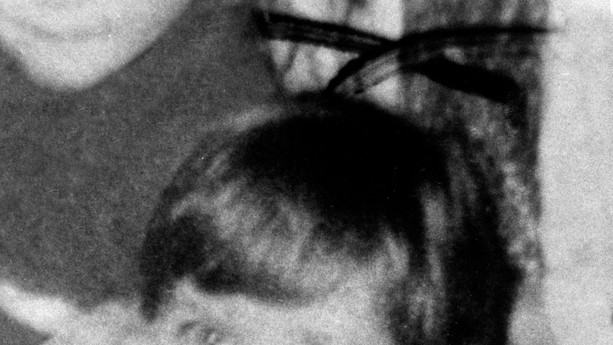 Man dubbed 'Monster of Worcester' after killing three children is freed ...