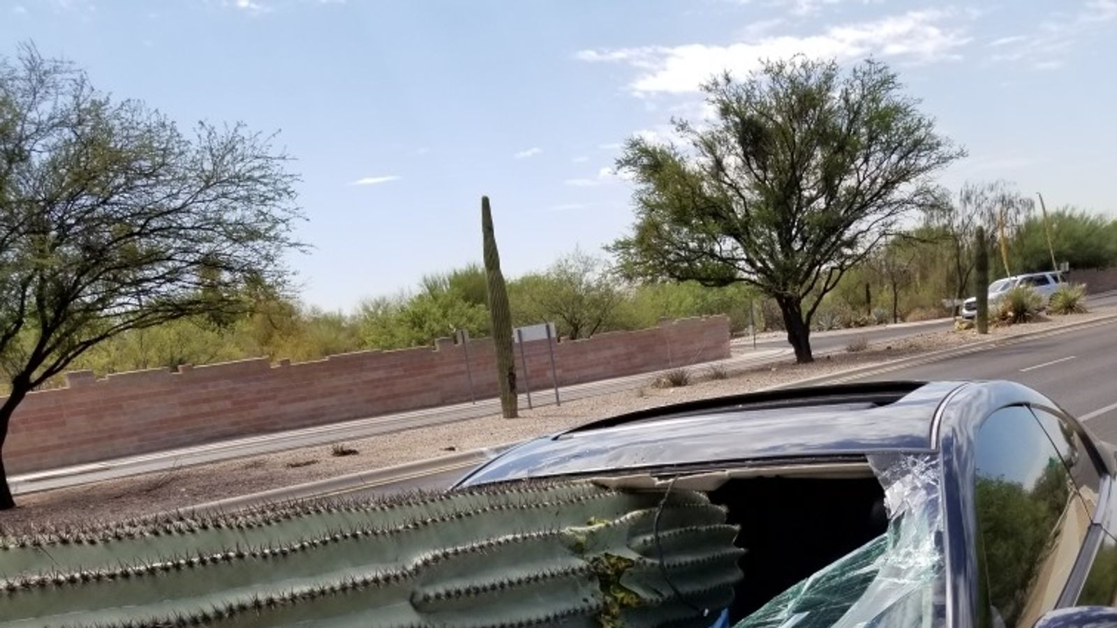 Driver gets lucky escape after crashing into a cactus | US News | Sky News