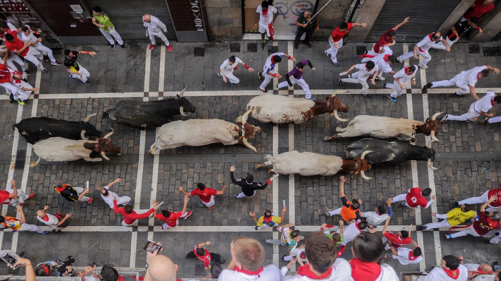 Eight hospitalised on last day of bull-run | World News | Sky News