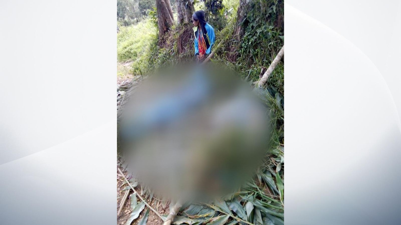 Papua New Guinea: More than 20 killed in tribal violence | World News ...