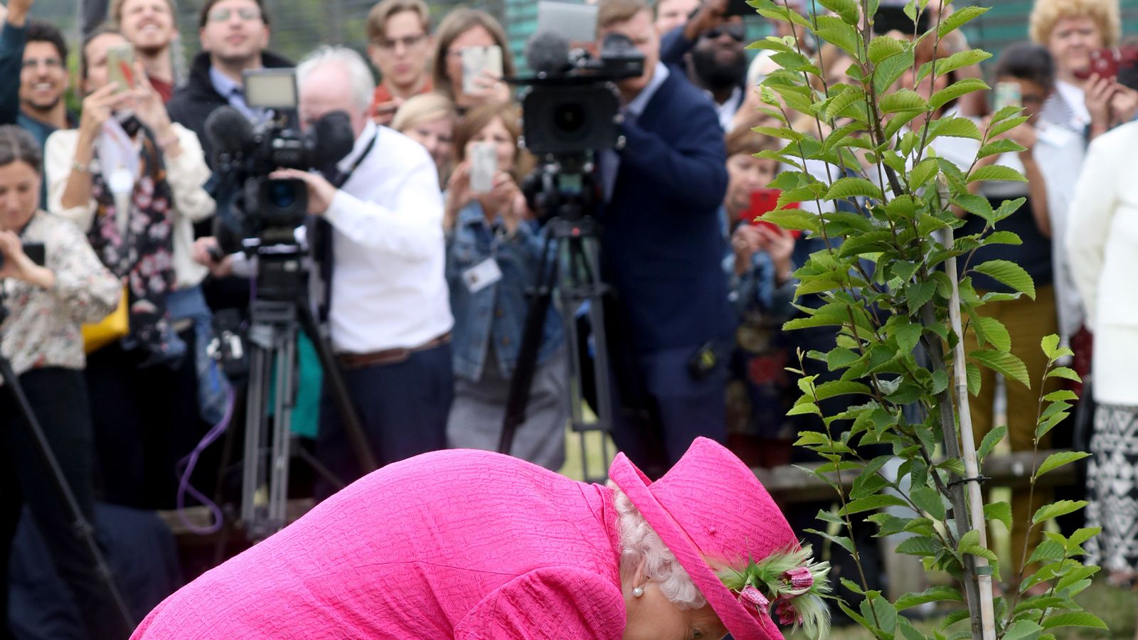 Queen 'still capable of planting a tree' at 93 | UK News | Sky News