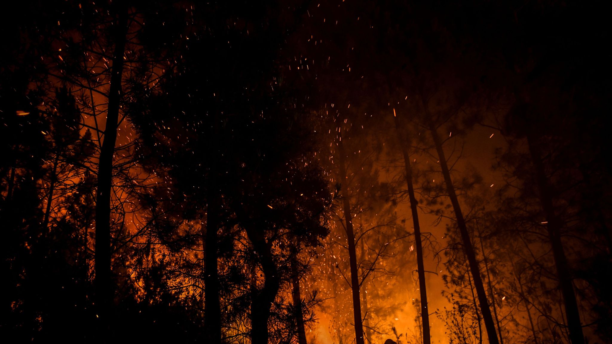 Thirty injured as 1,000 firefighters battle wildfires in Portugal ...