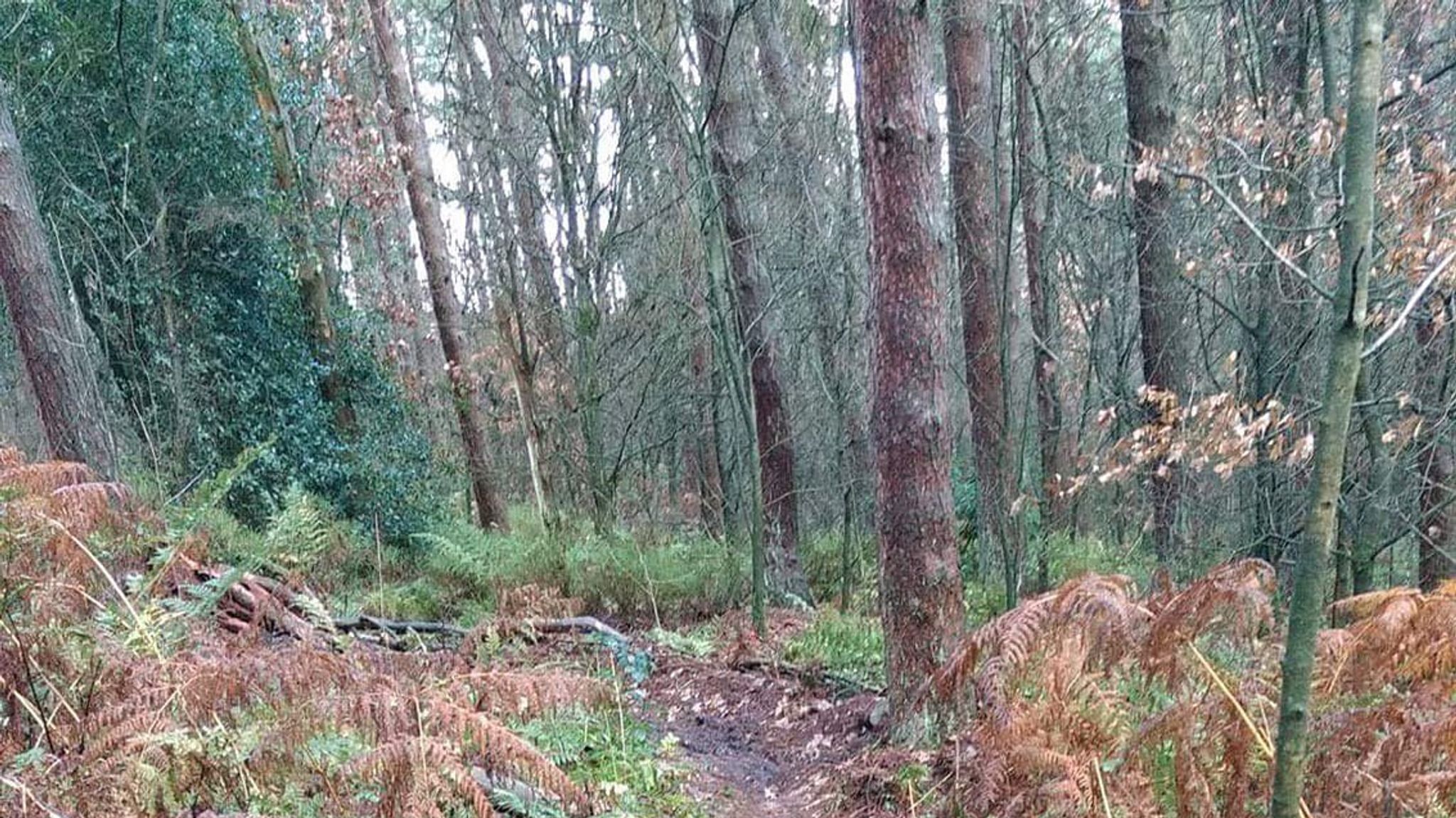 Peak District: Rocks and nails used in booby traps targeting cyclists ...