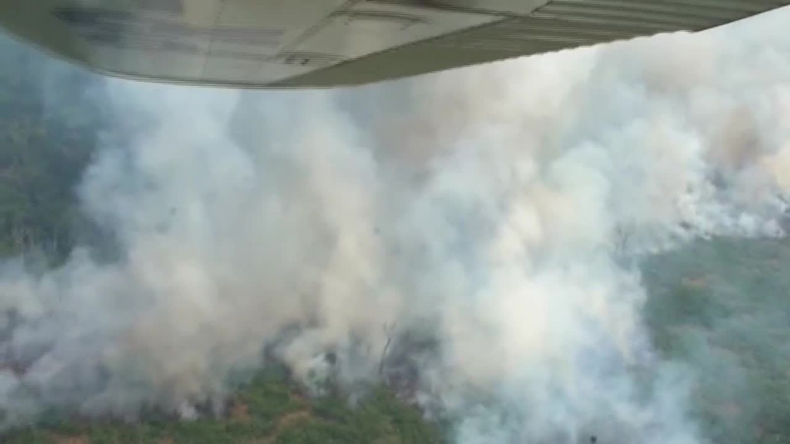 Footage shows extent of Amazon fires | World News | Sky News