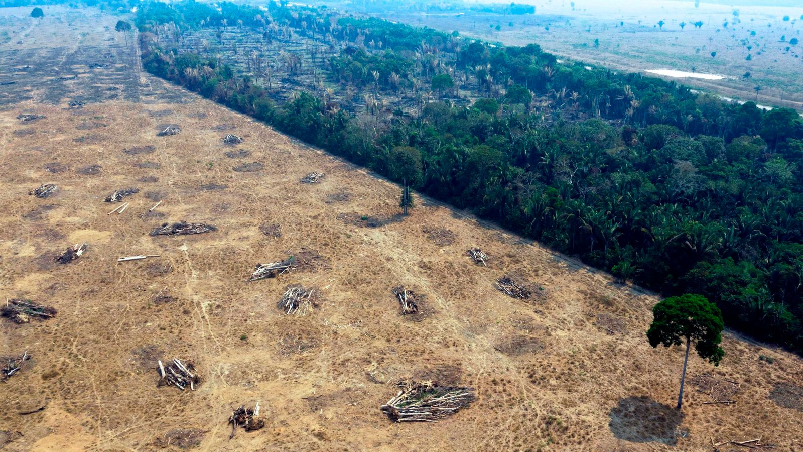 Amazon wildfires: Full scale of rainforest devastation is impossible to ...