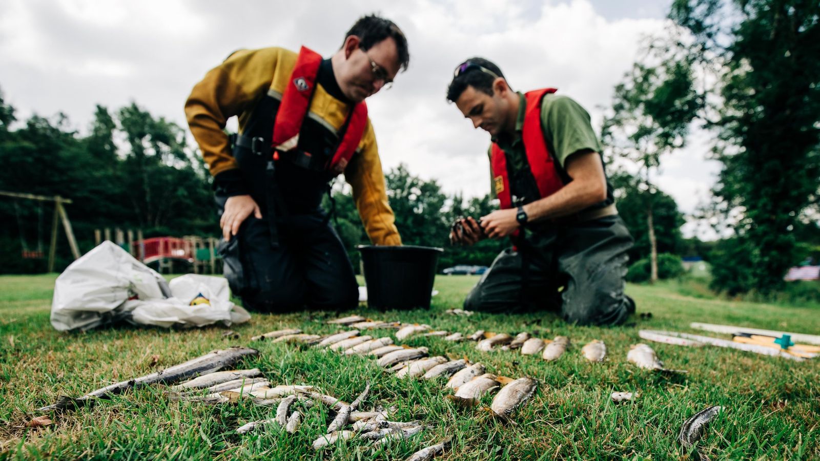 Pollution kills 10,000 fish in River Mole | UK News | Sky News