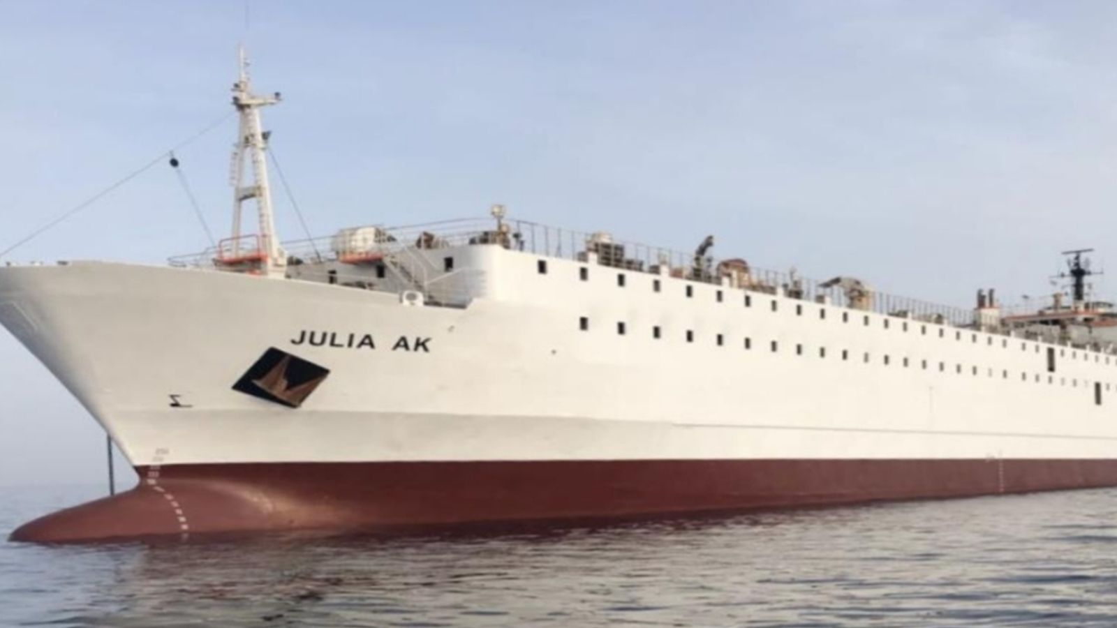 Thousands of cows could starve to death on stranded livestock carrier ...