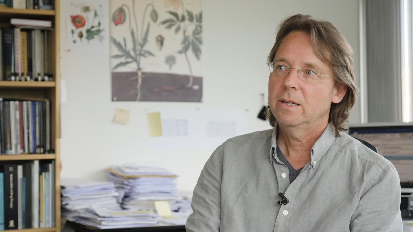 Therapeutic value of psychedelic drugs examined | Science, Climate ...