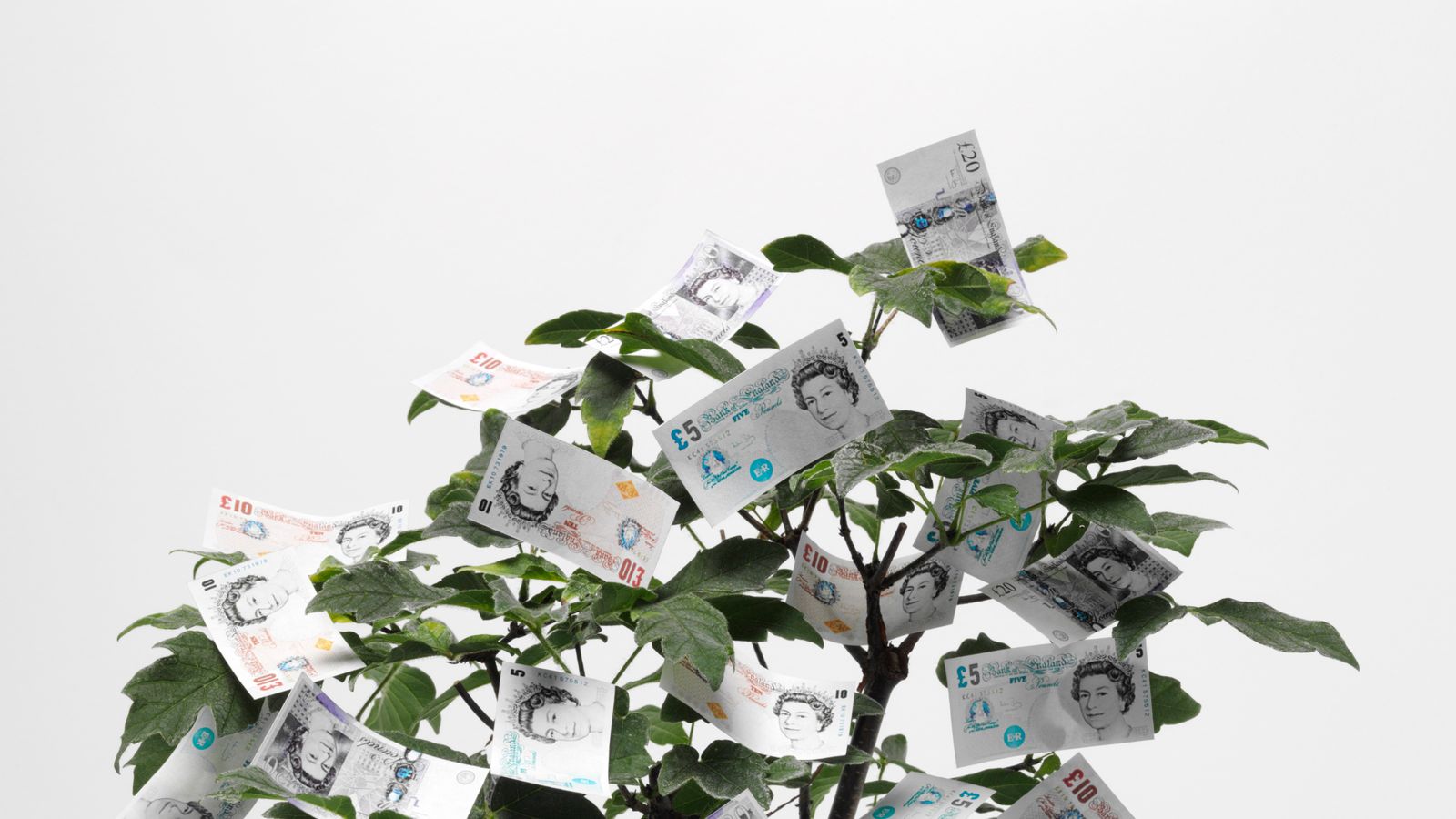 Has Boris Johnson found a magic money tree for the NHS? | Politics News ...