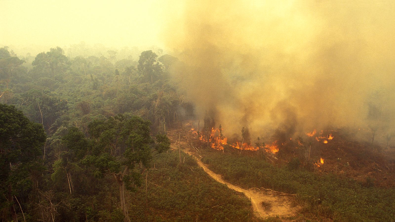 What is the G7 and does it really change things? | Politics News | Sky News