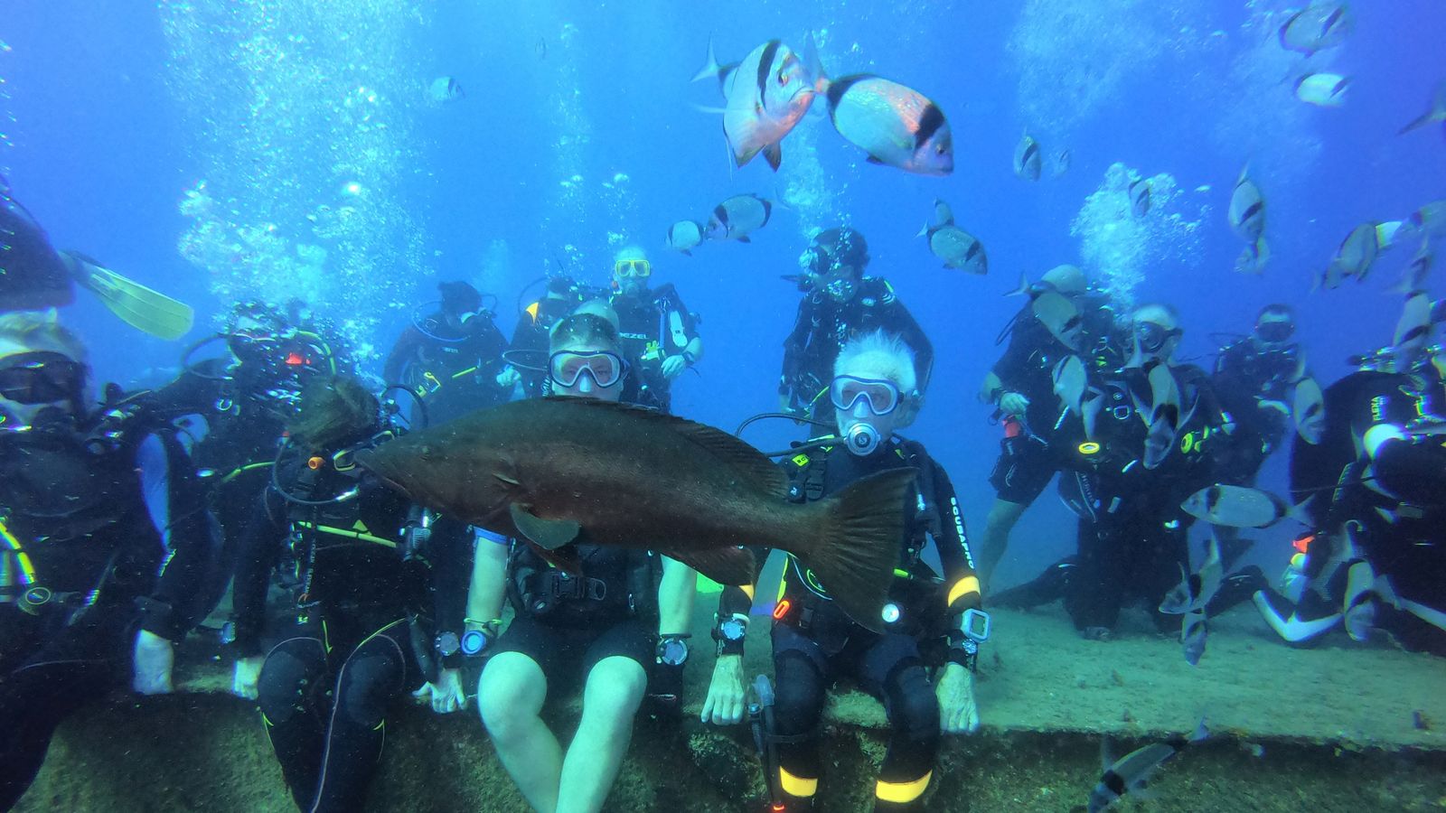 World's oldest scuba diver Ray Woolley breaks own record aged 96 ...