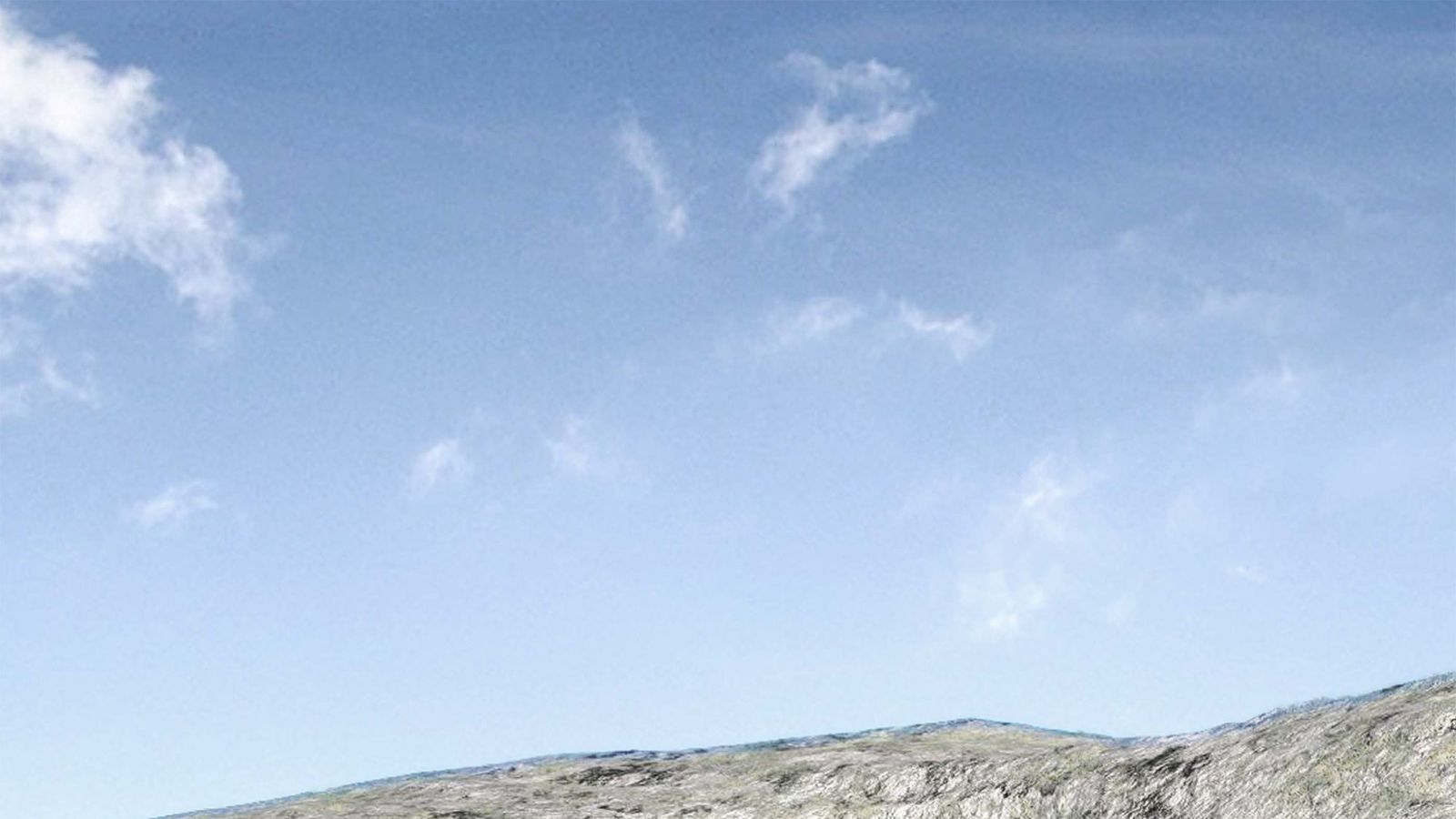 World's oldest fossilised forest, 400 million years old, discovered in ...