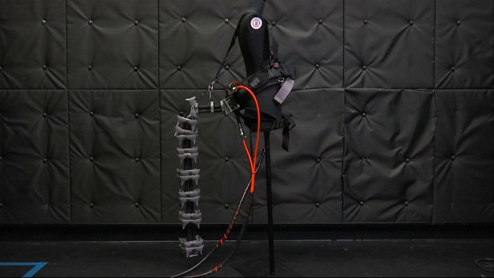 Robotic tail invented for the elderly | World News | Sky News