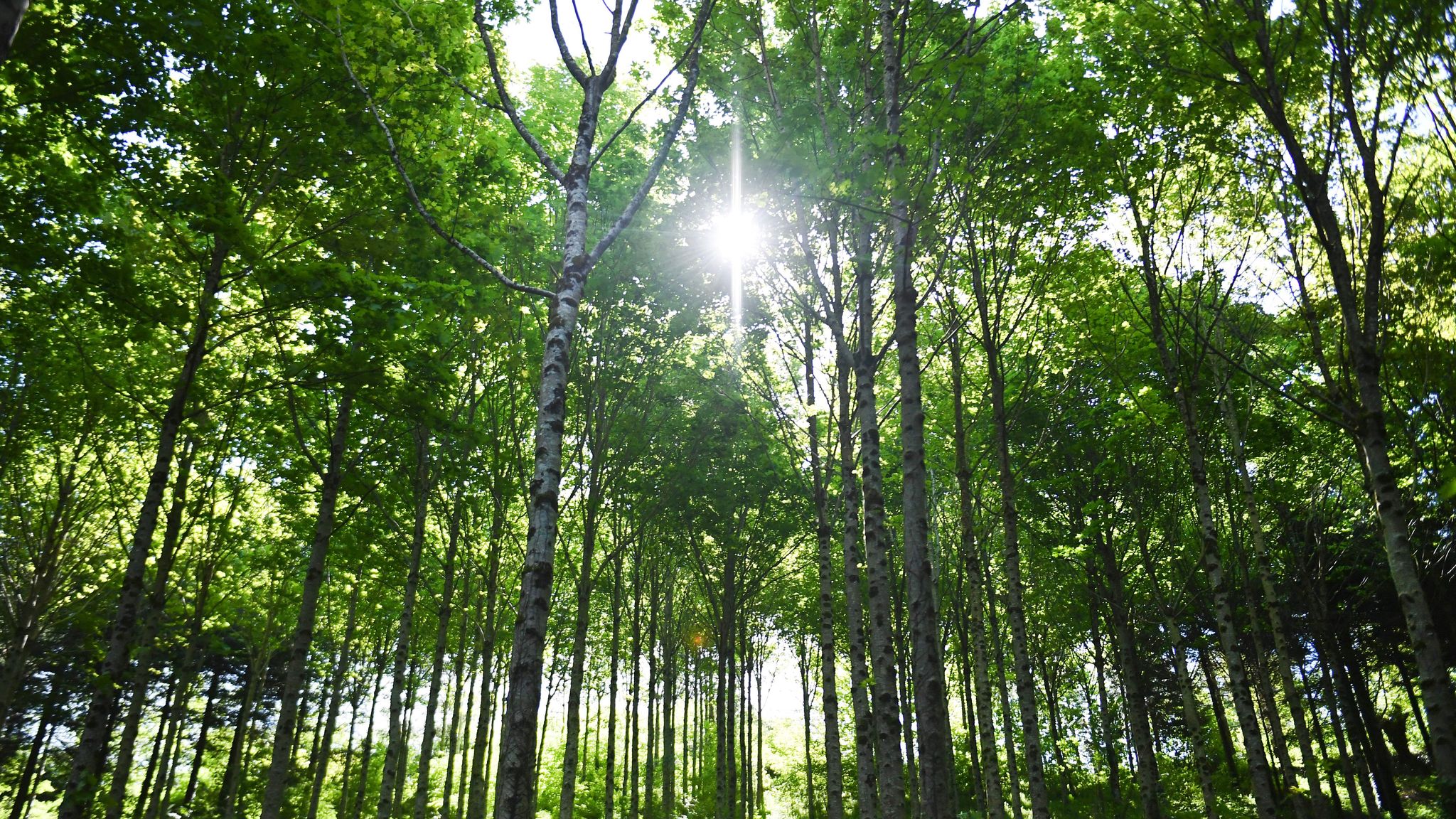 Global land use and exploitation threatens attempts to fight climate ... Global land use and exploitation threatens attempts to fight climate ...