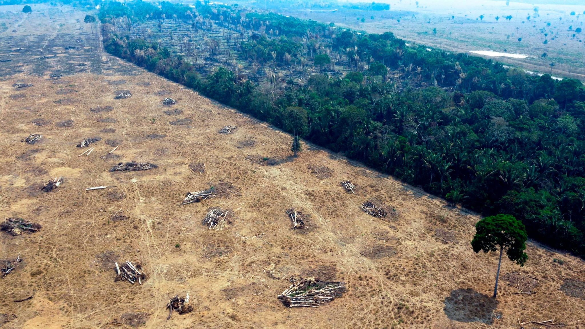 Amazon wildfires: Full scale of rainforest devastation is impossible to ...
