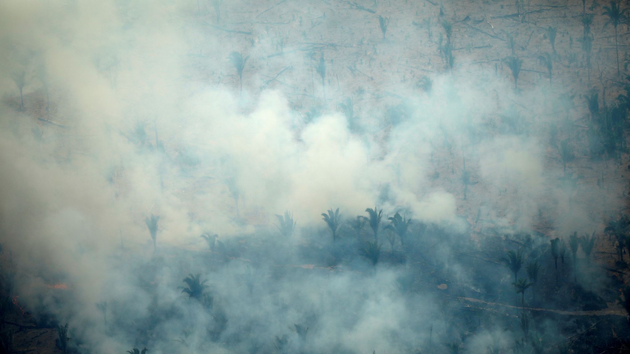 Amazon wildfires: Full scale of rainforest devastation is impossible to ...