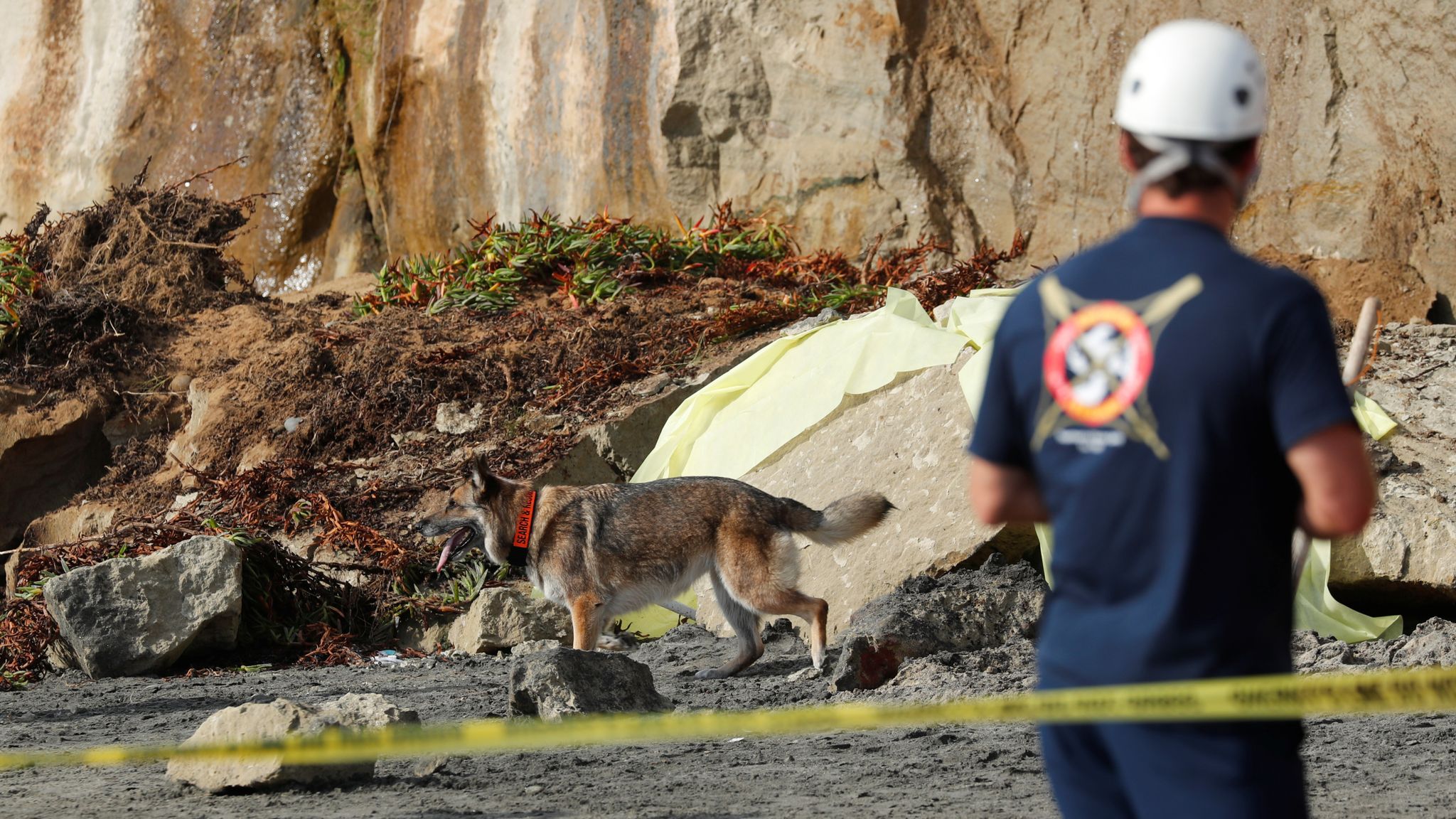 California cliff collapse: Three dead as tonnes of sandstone falls on ...