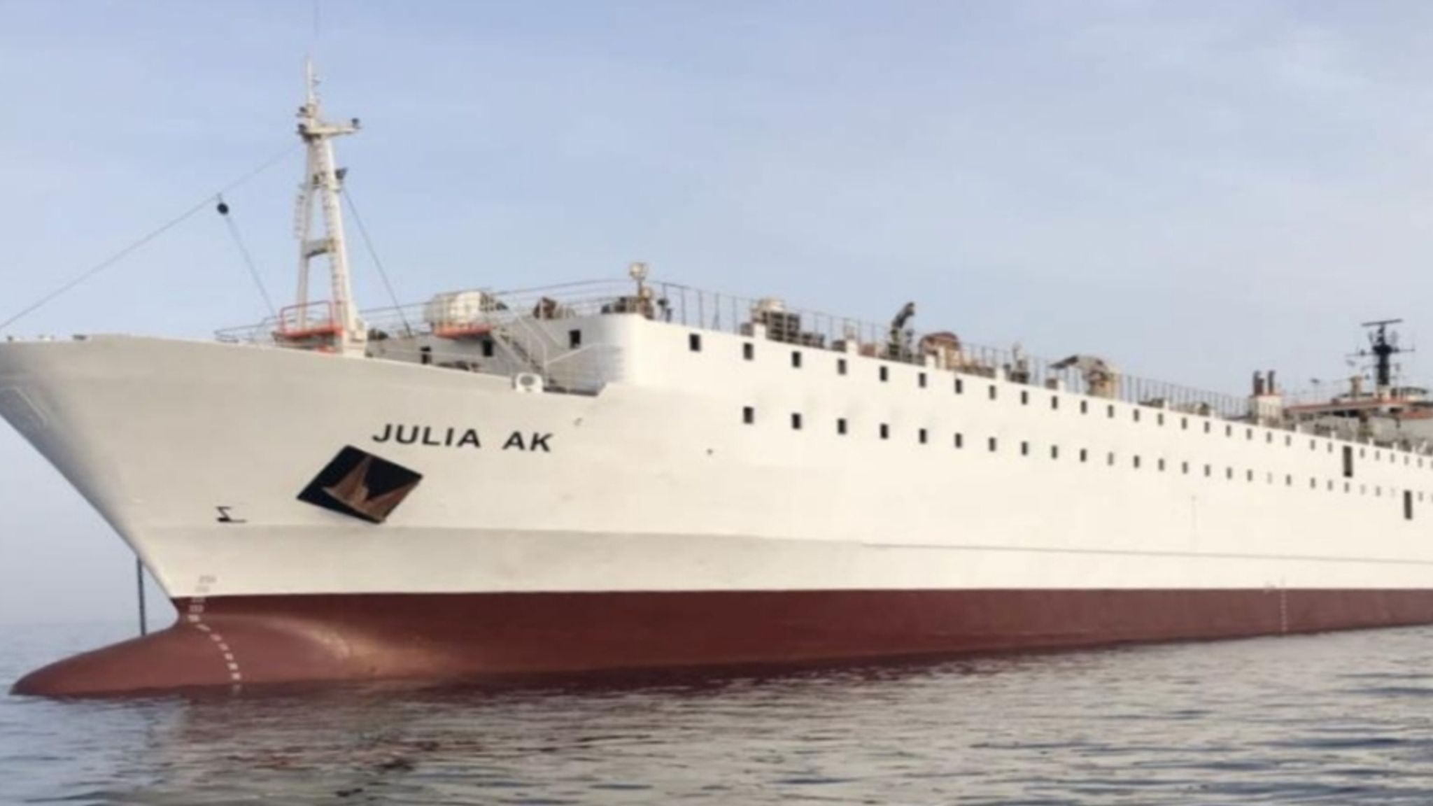 Thousands of cows could starve to death on stranded livestock carrier ...