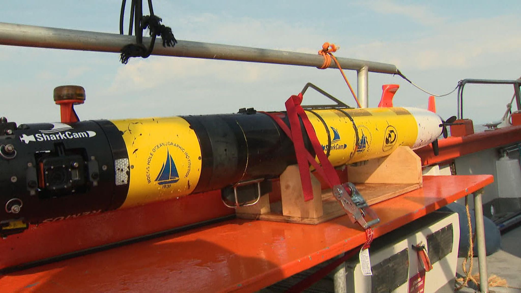 Researchers use underwater robot to better understand basking sharks in ...