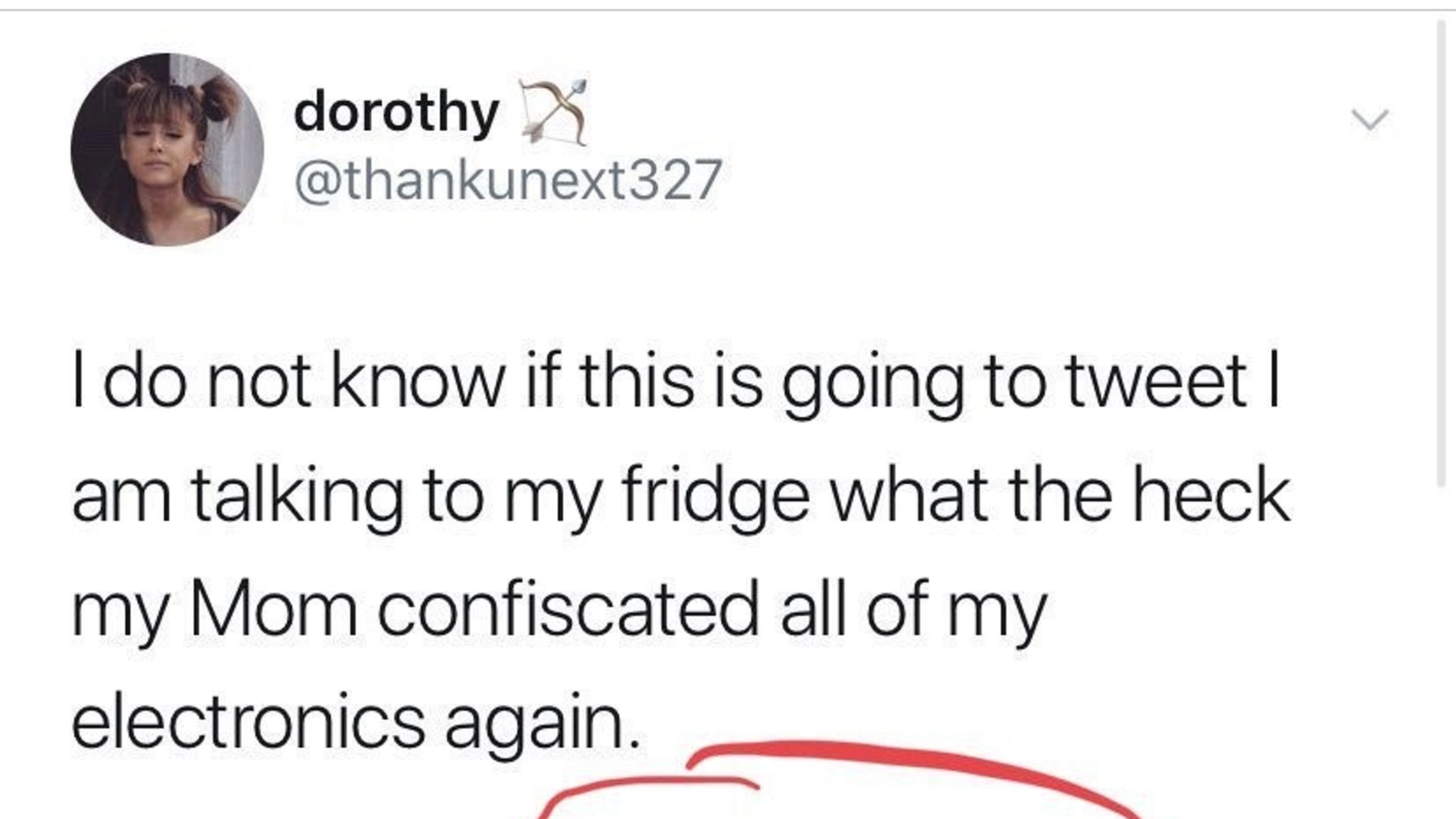 Teenager 'tweets from smart fridge after mother confiscates her phone ...