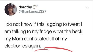 Teenager 'tweets from smart fridge after mother confiscates her phone ...