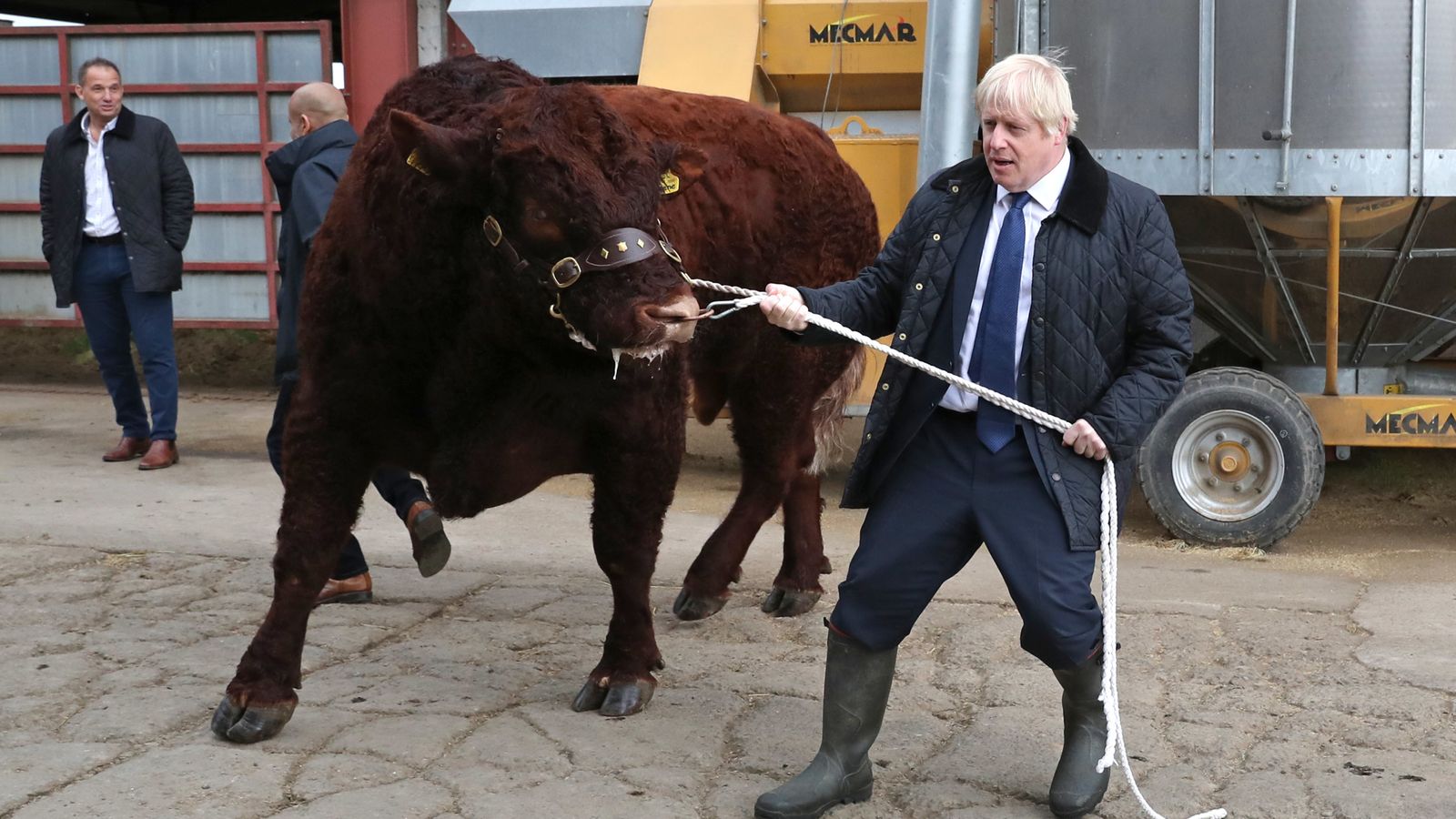 Boris Johnson grapples with bull during visit to Scotland | UK News ...