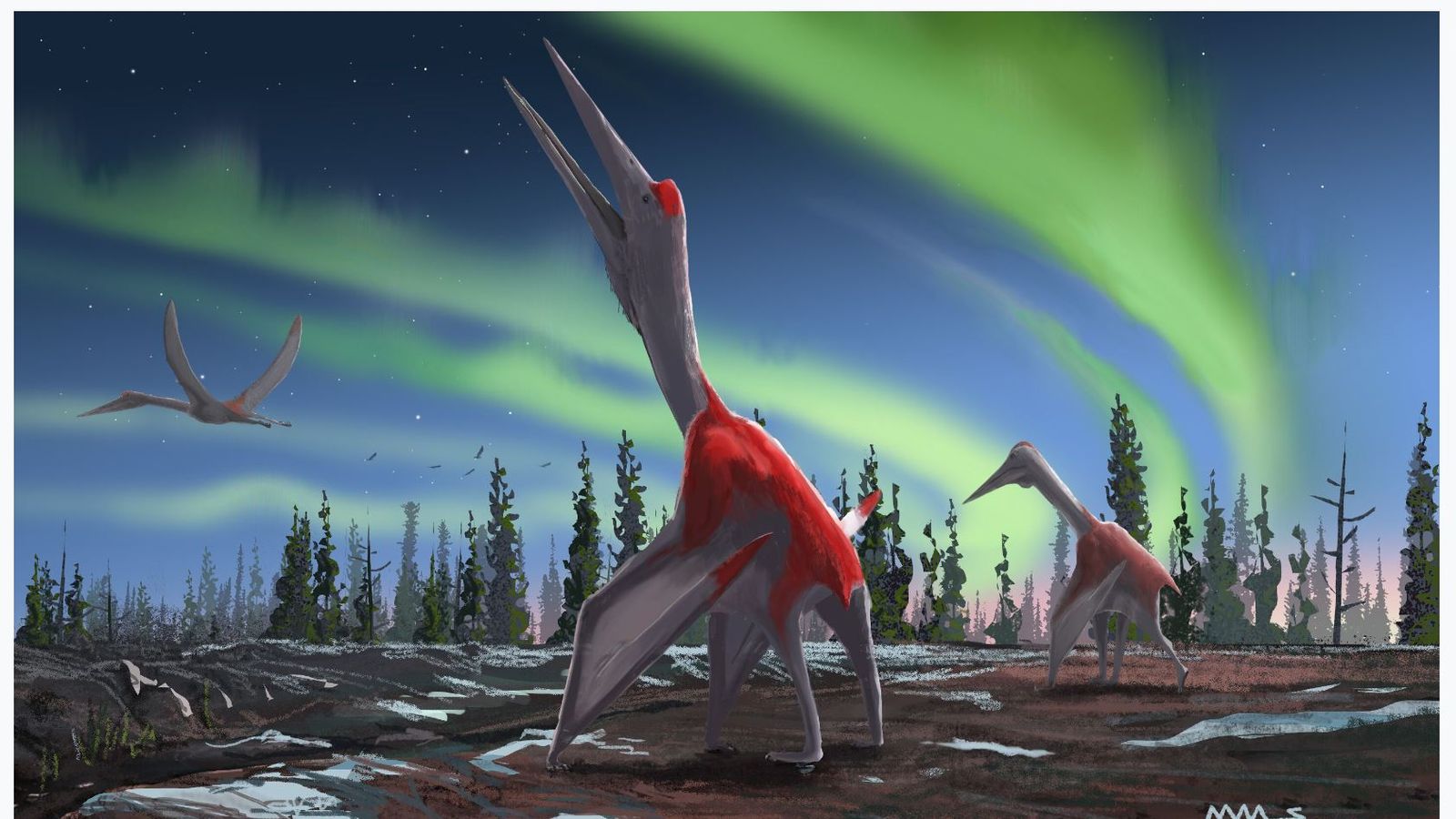 Newly classified pterosaur was one of history's largest flying animals ...