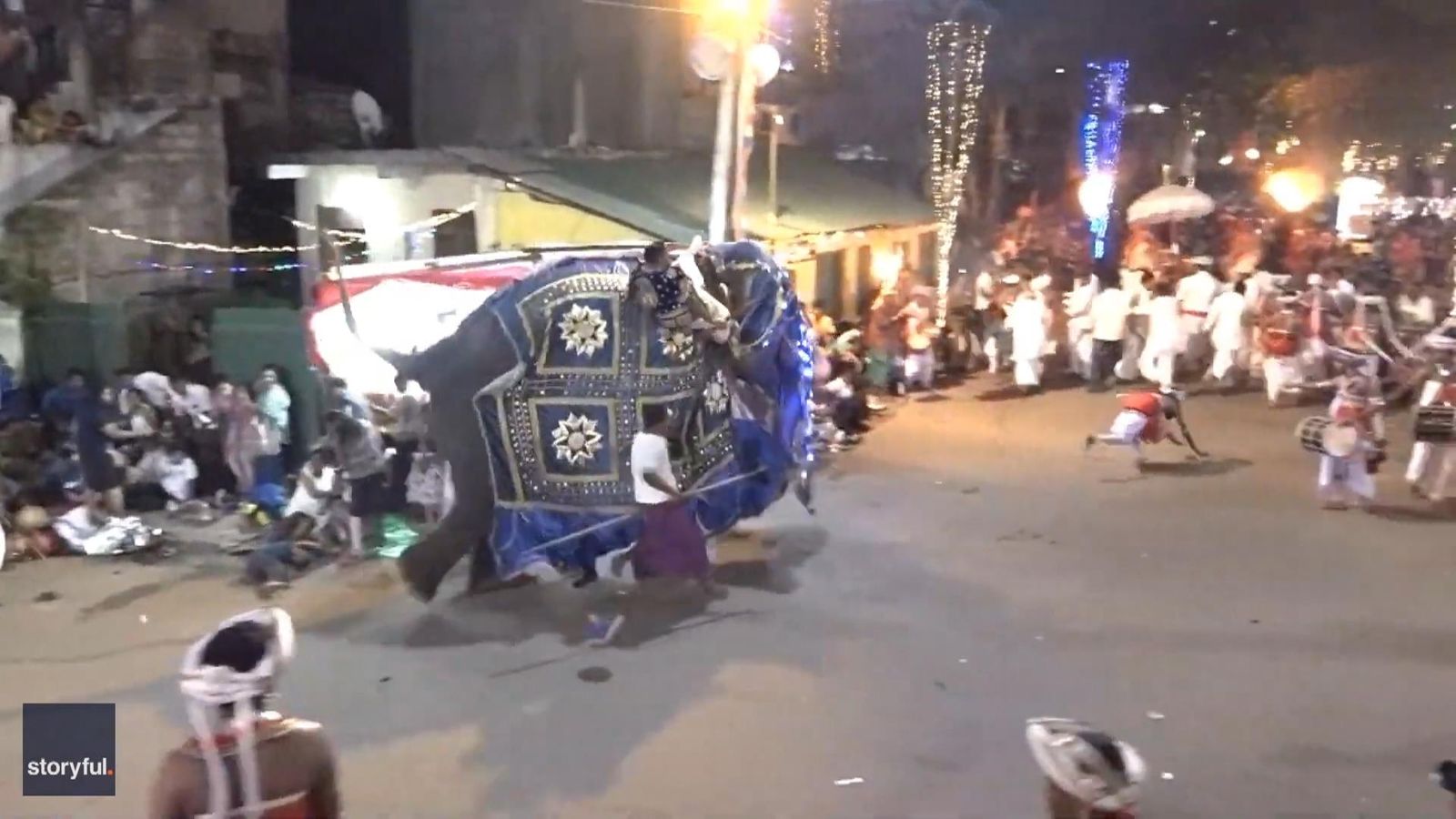 Elephant stampede injures 17 in Sri Lanka | World News | Sky News