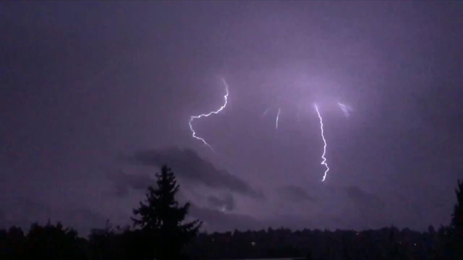 Hundreds of lightning strikes over Seattle | World News | Sky News