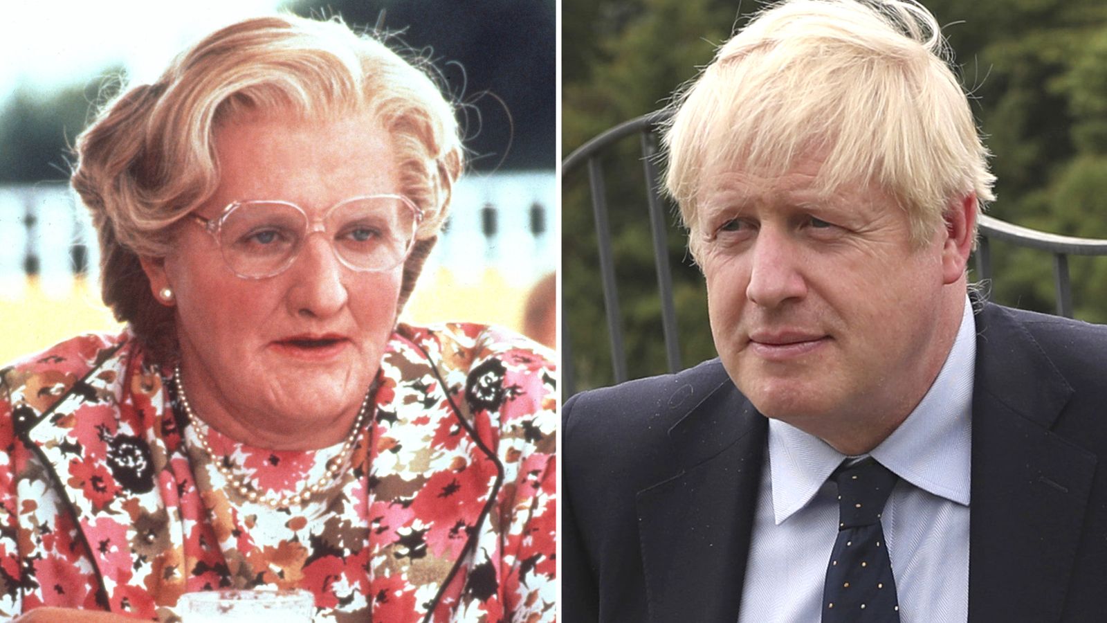 Boris Johnson 'should be more like Mrs Doubtfire', says Verhofstadt ...