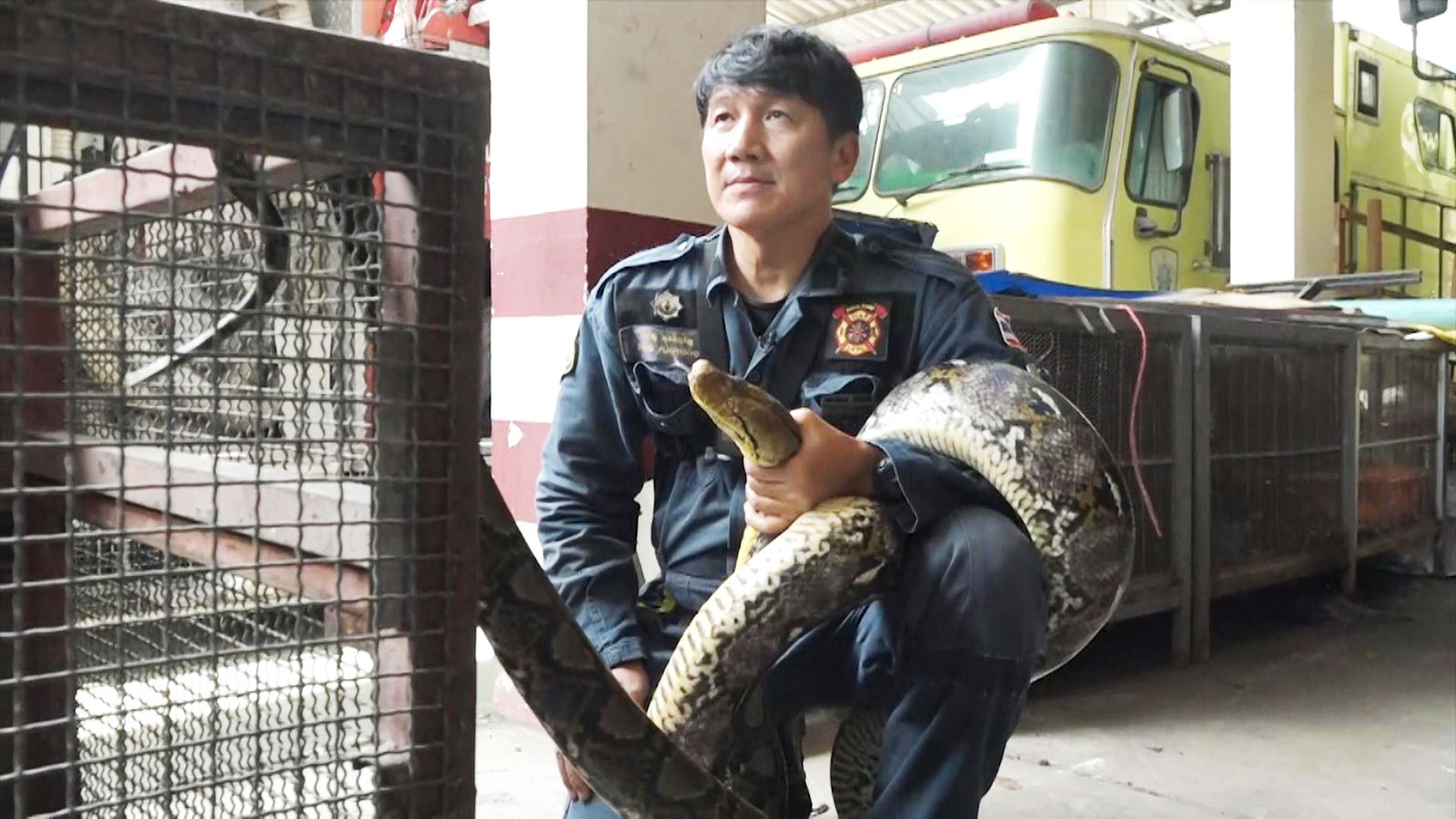 Thai firefighter responds to a snake invasion | News UK Video News | Sky News
