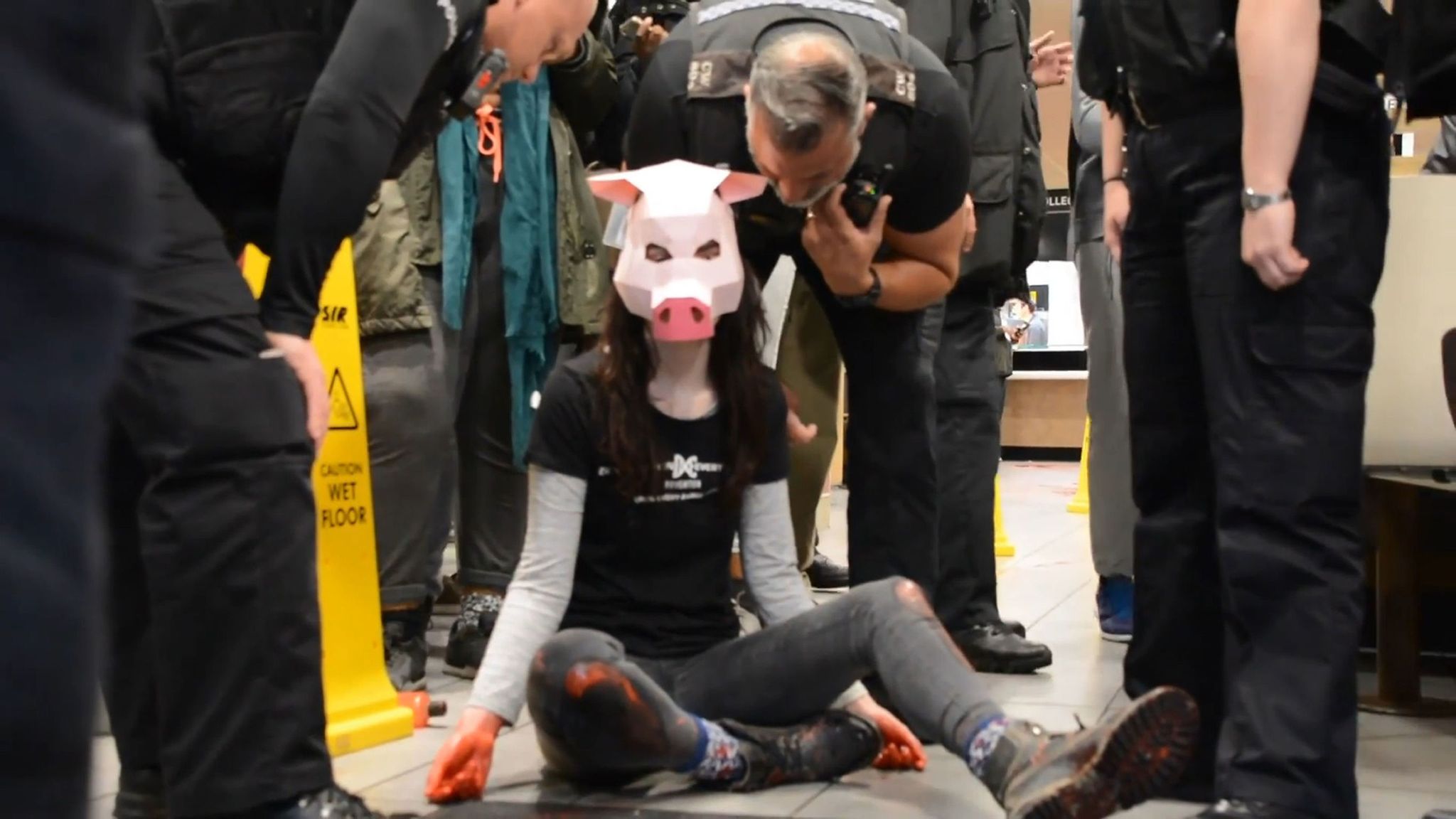 Vegan activist guilty over fake blood protest at McDonald's | UK News ...