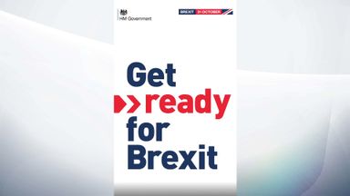 Government spends £25,300 on six-second Brexit advert on Snapchat | UK ...