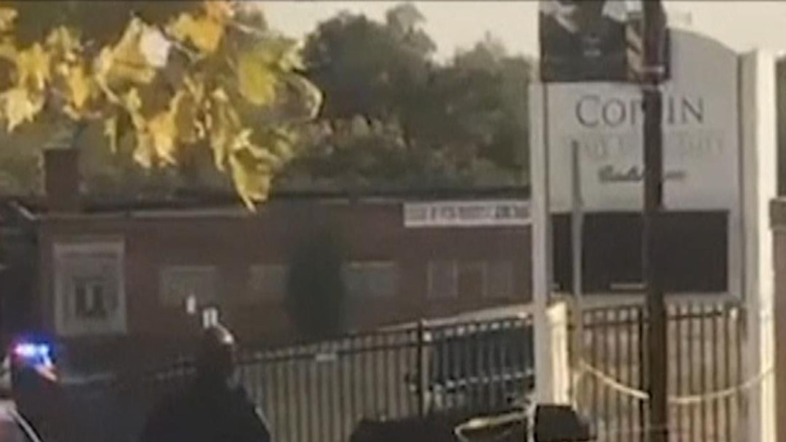 Bull subdued with tranquilliser on US street | Offbeat News | Sky News