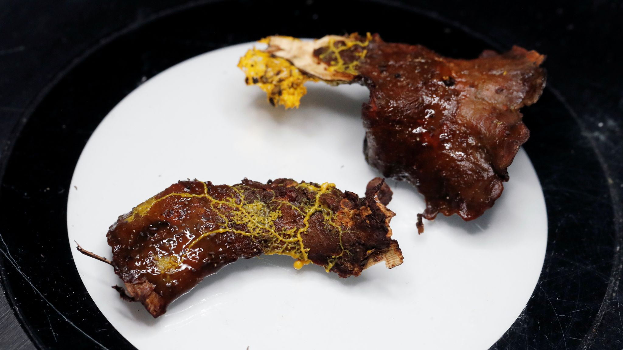 Paris zoo unveils mysterious slime which can heal itself and solve ...